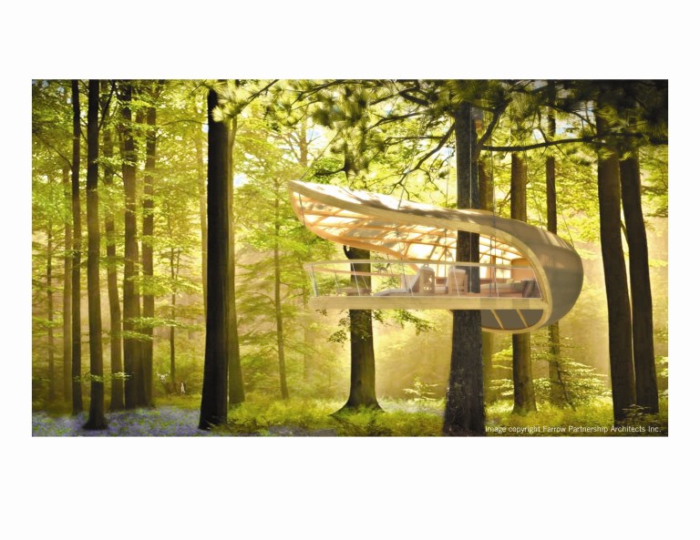 Curves | chasing home