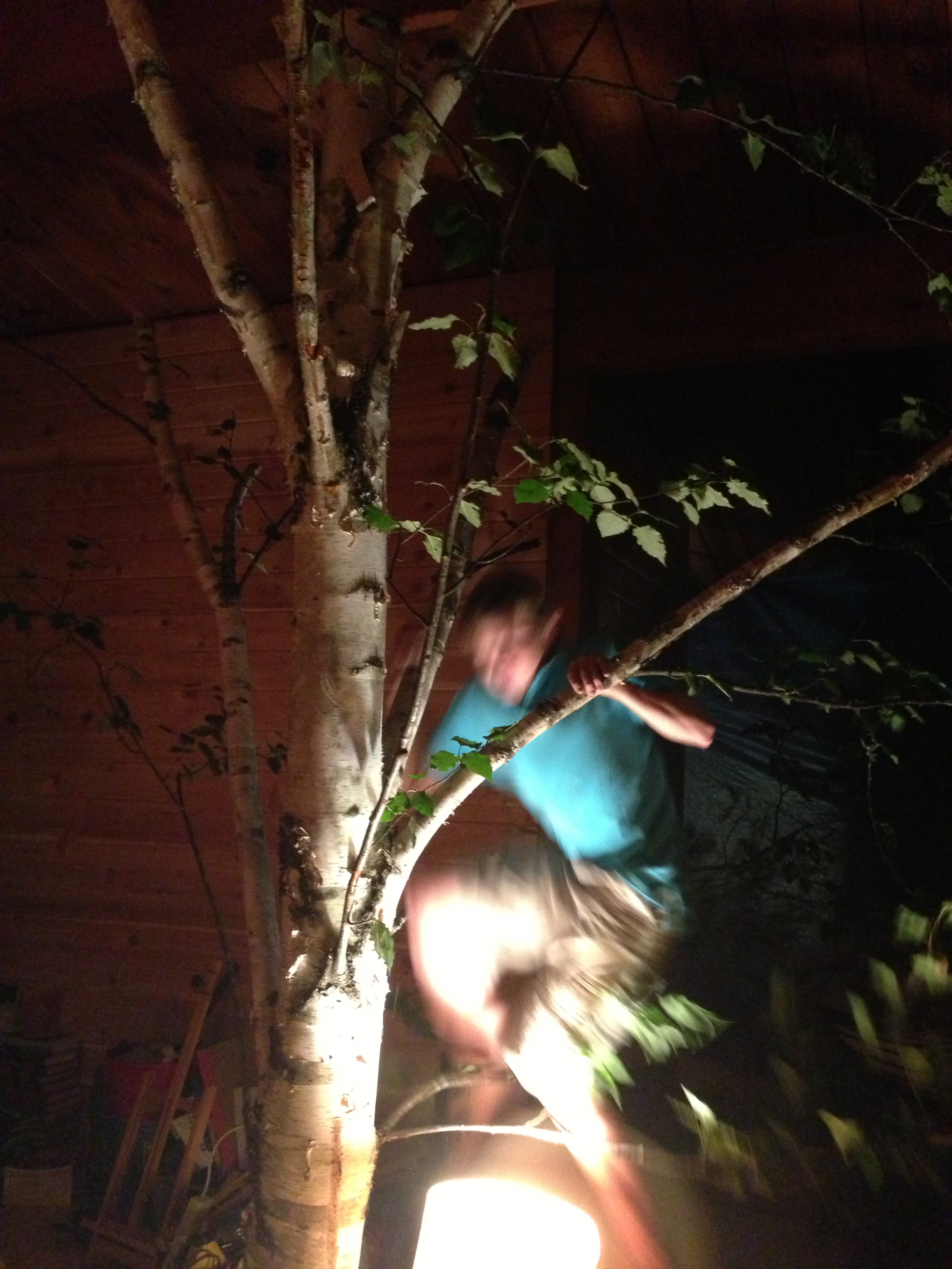 chasing home | Bringing home great design ideas from around the world.