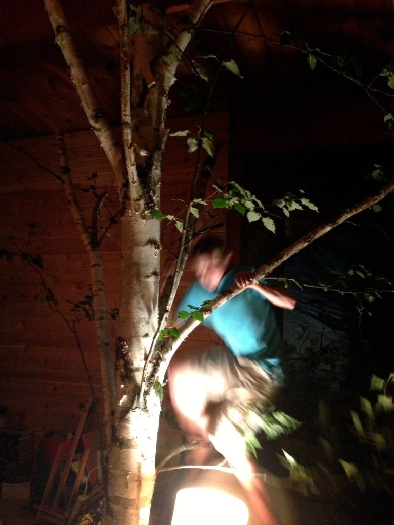 chasing home | Bringing home great design ideas from around the world.